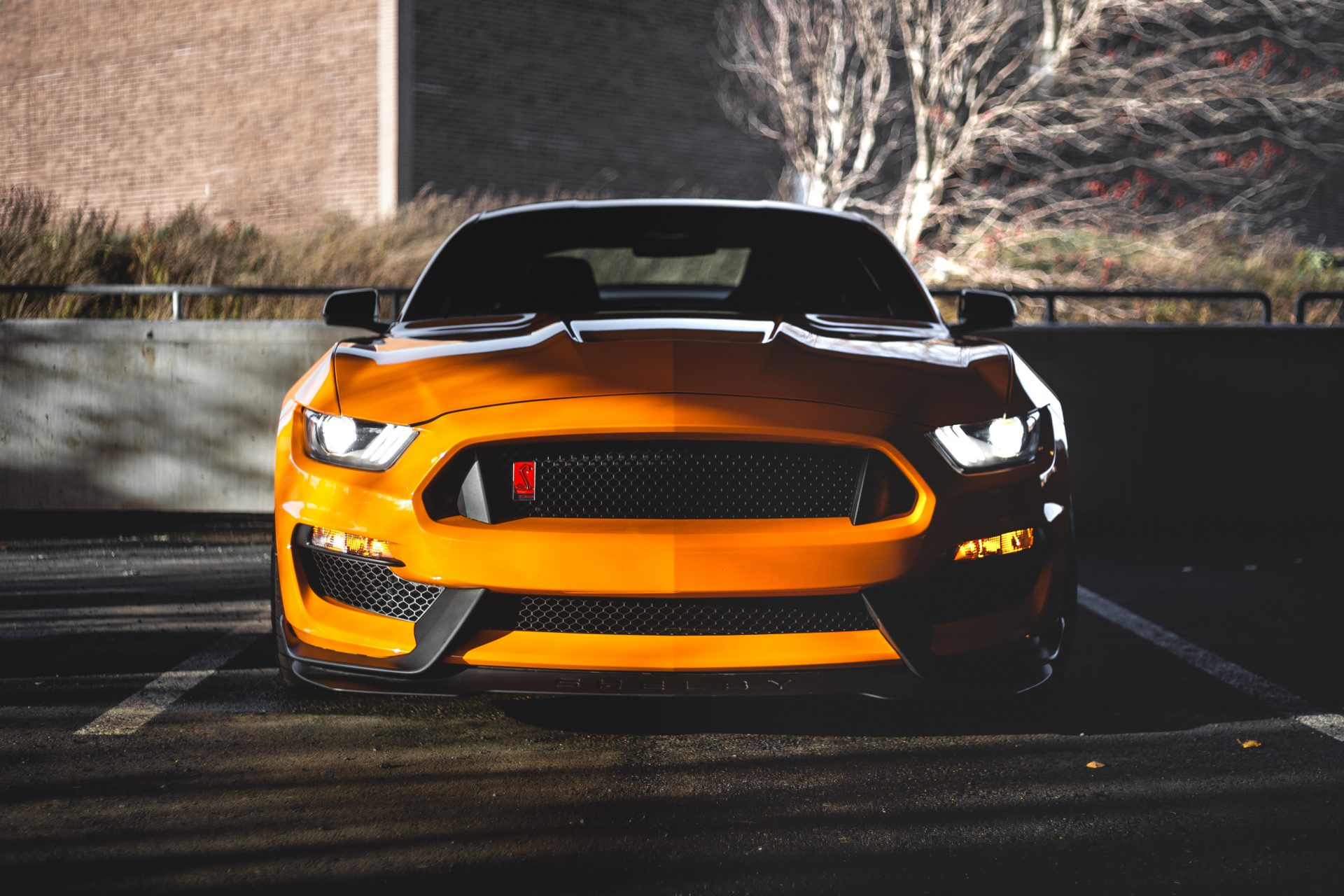 Flawless Finish Detailing - The All Inclusive Auto-Spa